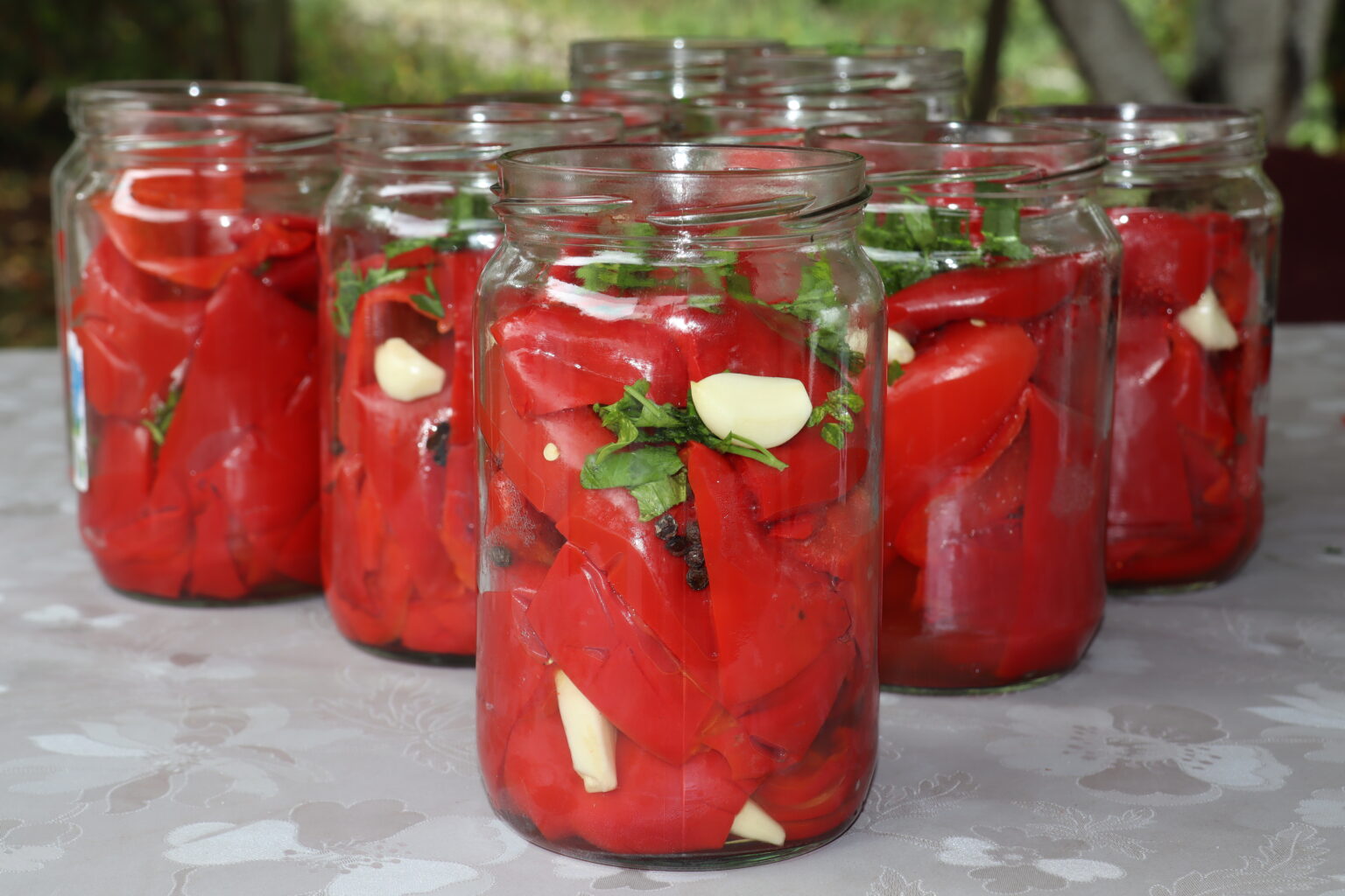 RECEPT ZA KISELE PAPRIKE - ZIMNICA BEZ KONZERVANSA - Domaći Kuhar ... RECEPT ZA KISELE PAPRIKE - ZIMNICA BEZ KONZERVANSA - Domaći Kuhar ...